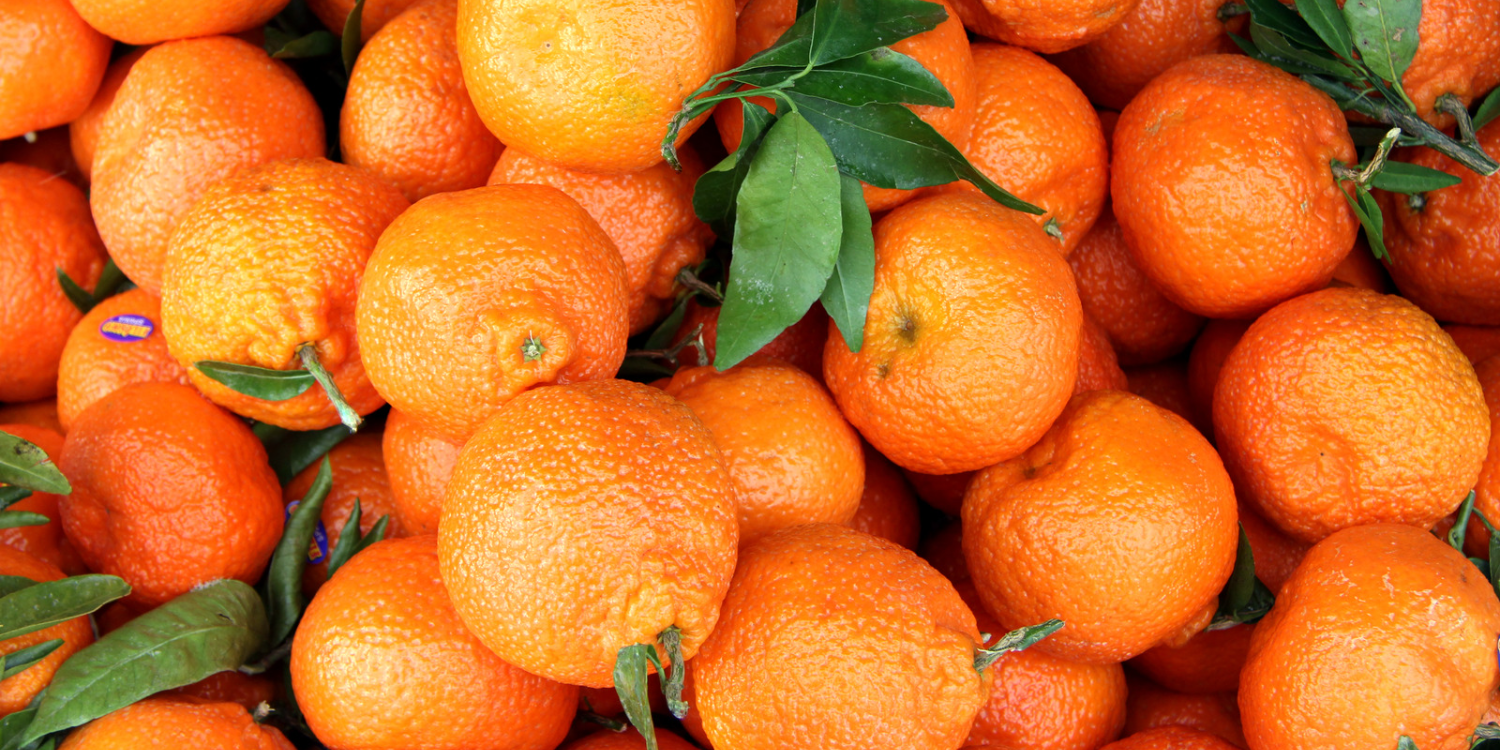 Mandarin Cold Pressed Essential Oil – Mystic Moments UK